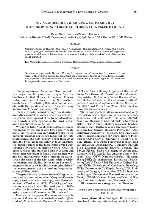 (PDF) Six New Species of Mozena from Mexico (Heteroptera: Coreidae ...