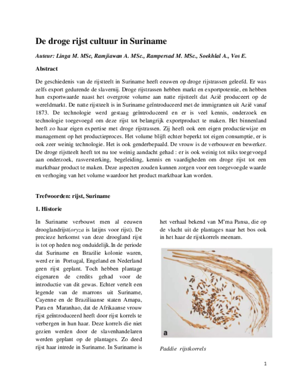 (PDF) De droge rijst cultuur in Suriname