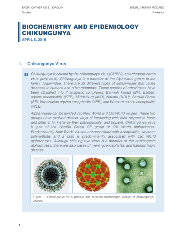 (PDF) Chikungunya Research