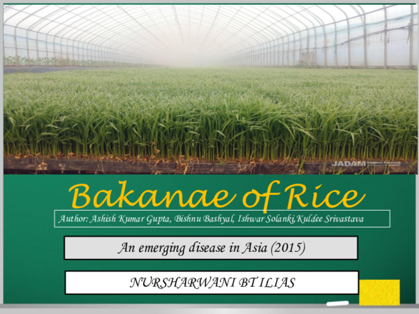 (PPT) Bakanae of Rice