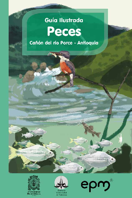 (PDF) Guia Ilustrada canon del rio Porce Antioquia Peces