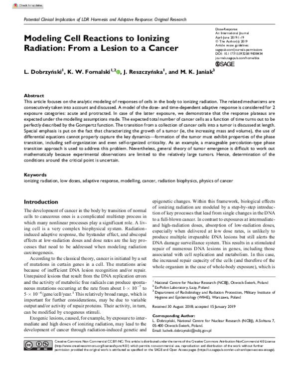 Pdf Modeling Cell Reactions To Ionizing Radiation From A Lesion To A Cancer Ludwik
