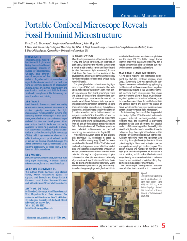 (PDF) BROMAGE 2005 Portable Confocal Microscope Reveals Fossil Hominid ...