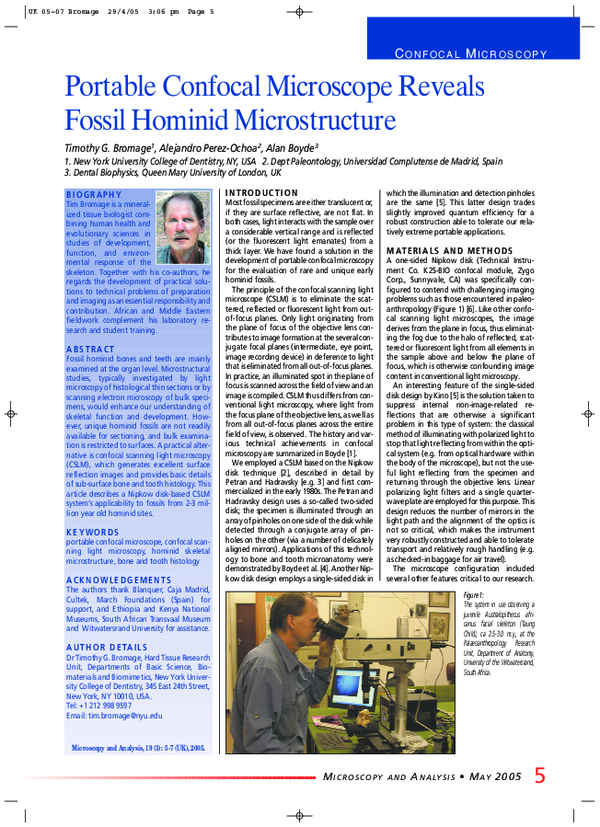 (PDF) BROMAGE 2005 Portable Confocal Microscope Reveals Fossil Hominid ...