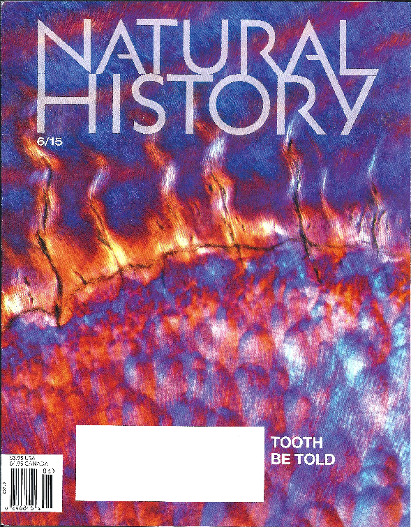 (PDF) BROMAGE 2015 Long in the tooth - striations in teeth reveal the ...