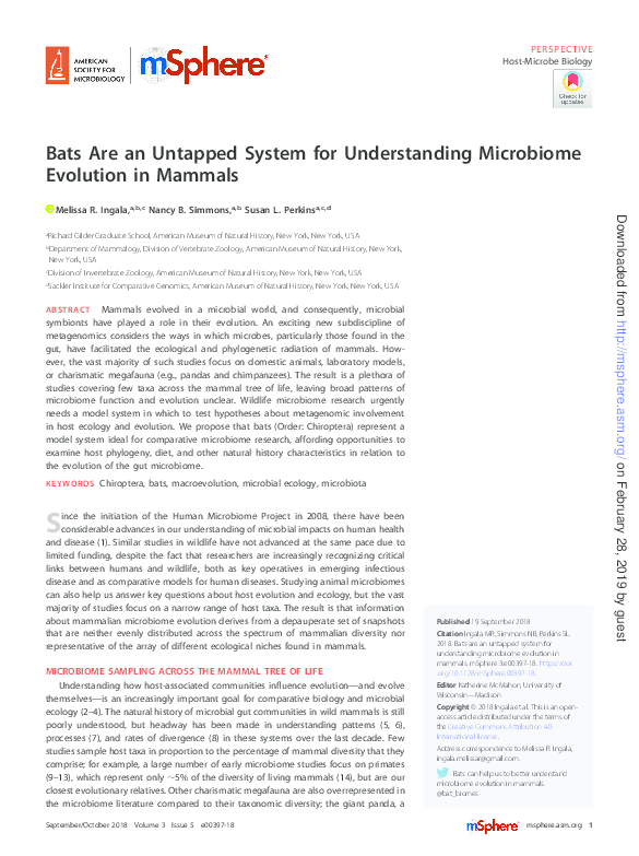 (PDF) Bats Are an Untapped System for Understanding Microbiome ...