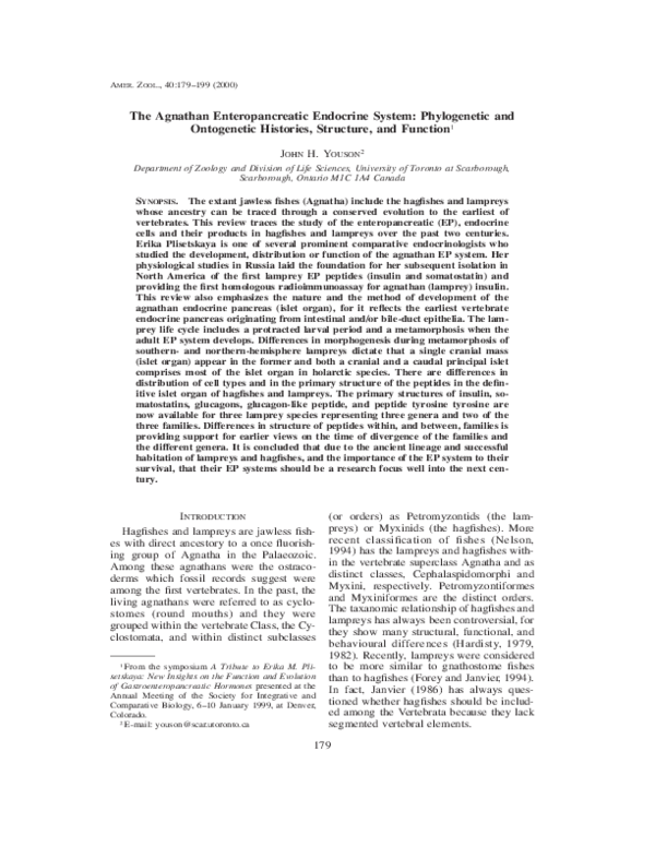 Agnatha Digestive System