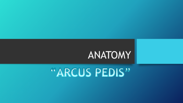 (PPT) PPT ANATOMI ARCUS PEDIS - ORTOTIK PROSTETIK