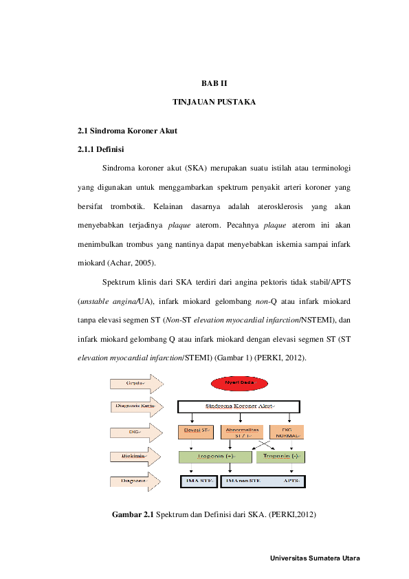 (PDF) BAB II TINJAUAN PUSTAKA 2.1 Sindroma Koroner Akut 2.1.1 Definisi ...
