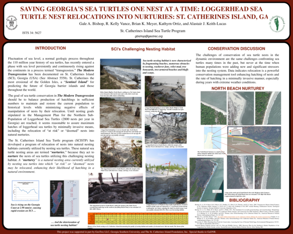 (PPT) Saving Georgia's Sea Turtles one Nest at a Time: Loggerhead Sea ...