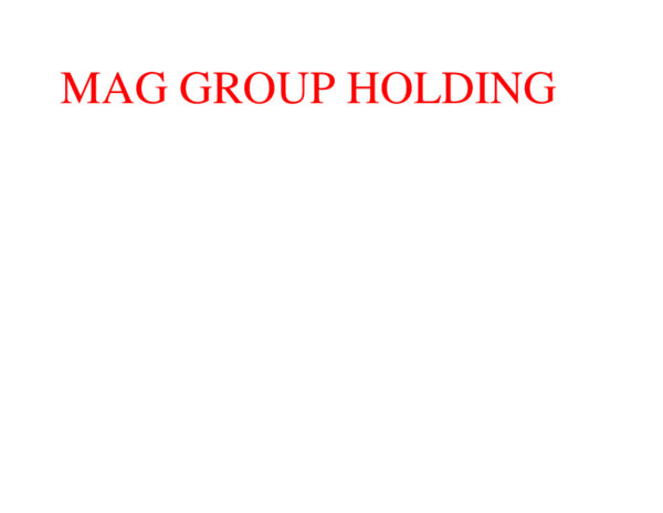 (PDF) MAG GROUP HOLDING
