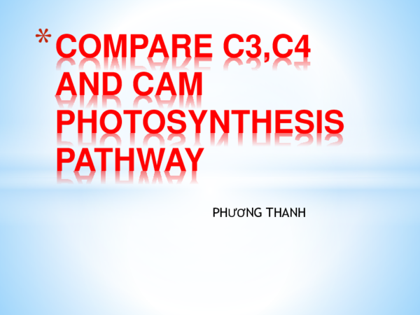 (PPT) COMPARE C3,C4 AND CAM PHOTOSYNTHESIS PATHWAY
