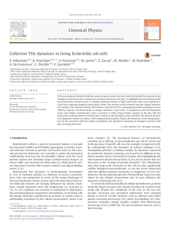 Pdf Collective Thz Dynamics In Living Escherichia Coli Cells
