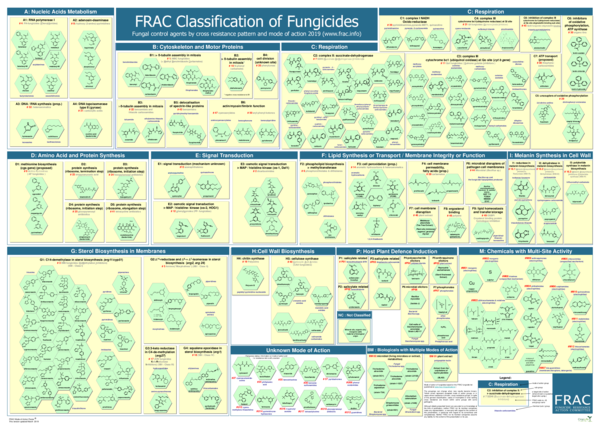 (PDF) Frac moa poster 2019 final