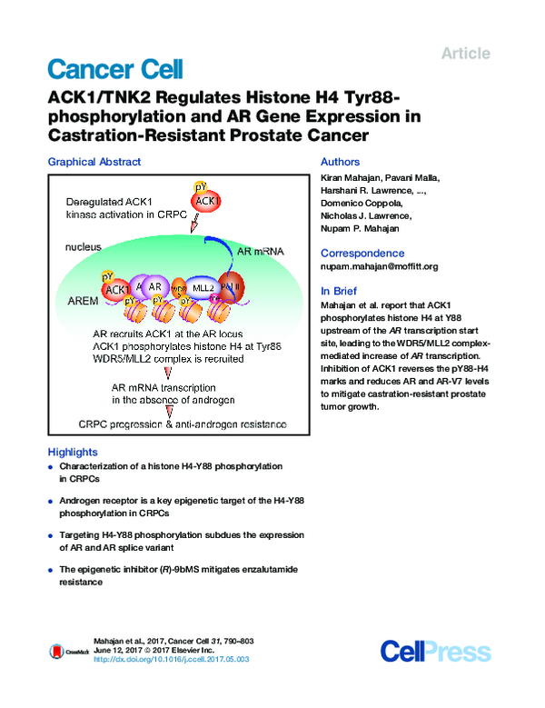 (PDF) ACK1/TNK2 Regulates Histone H4 Tyr88- phosphorylation and AR Gene ...