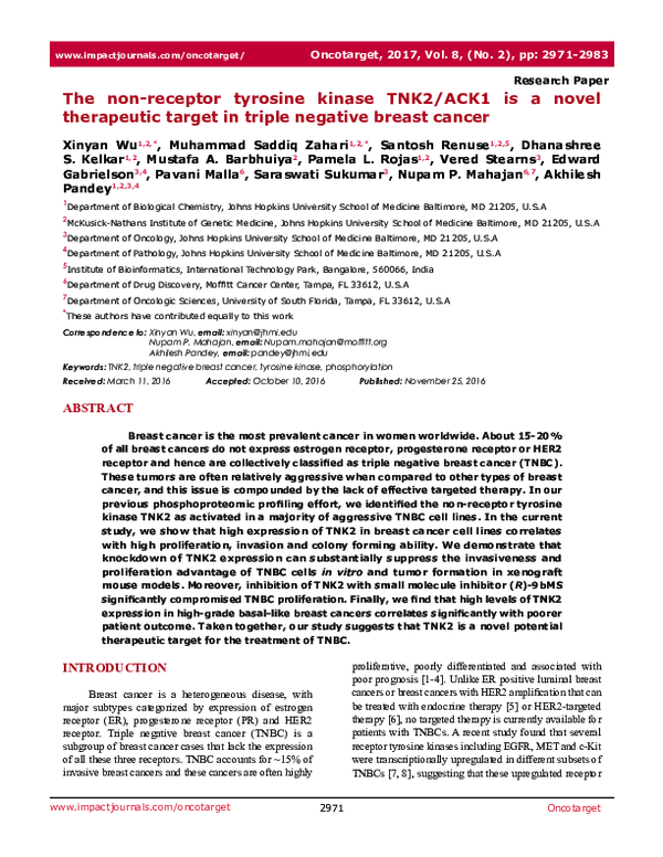 (PDF) The non-receptor tyrosine kinase TNK2/ACK1 is a novel therapeutic ...