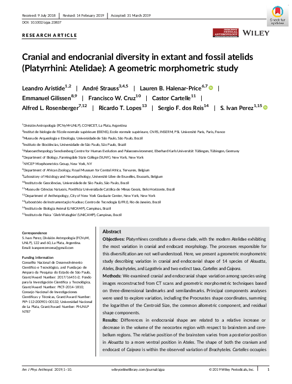 (PDF) Cranial and endocranial diversity in extant and fossil atelids ...