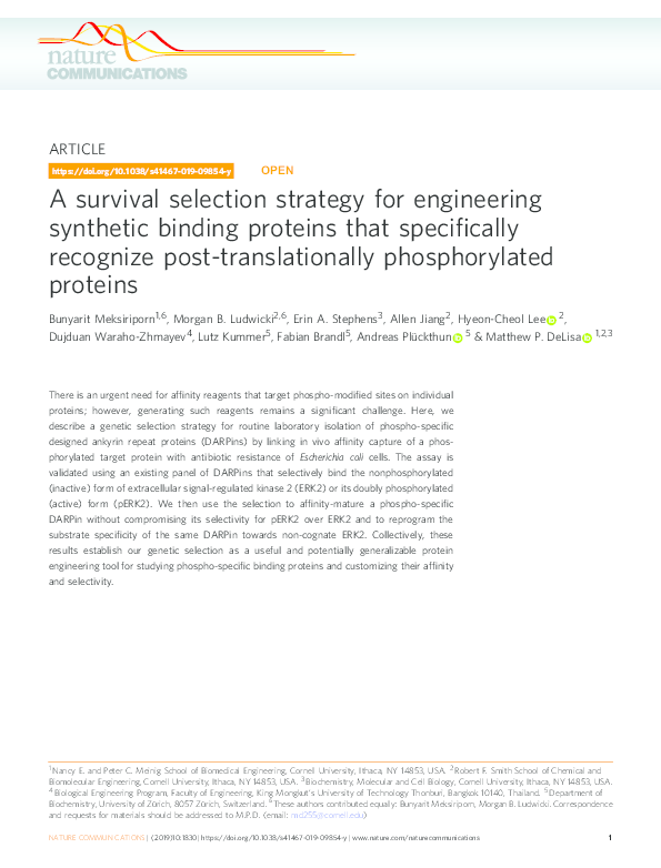 (PDF) A survival selection strategy for engineering synthetic binding ...