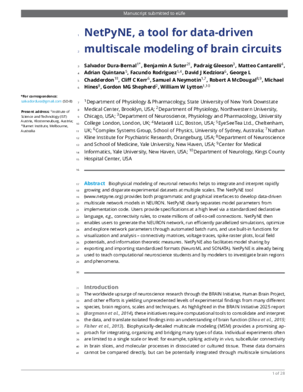 Pdf Netpyne A Tool For Data Driven Multiscale Modeling Of Brain Circuits