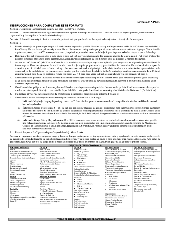 (PDF) Formato JSA/PETS INSTRUCCIONES PARA COMPLETAR ESTE FORMATO