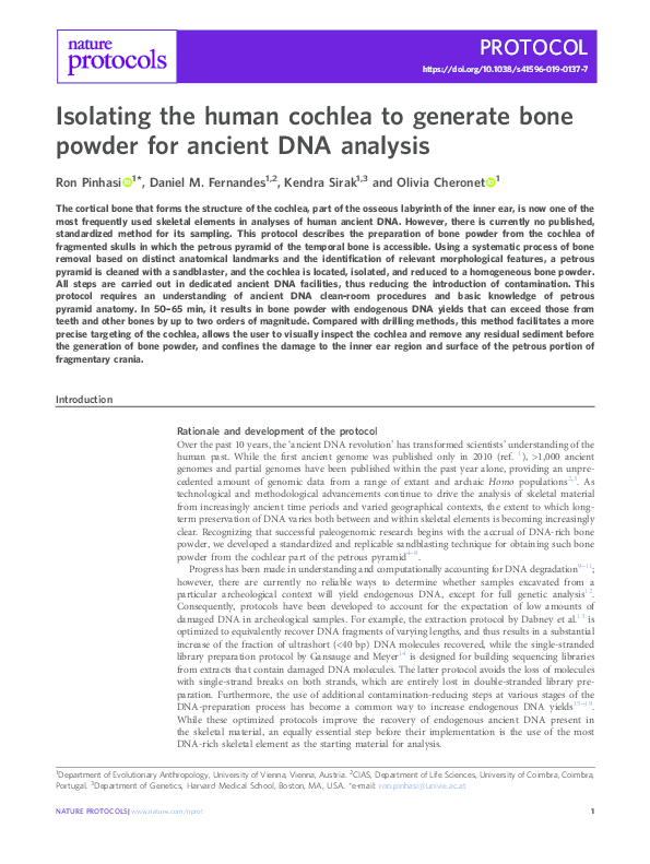 (PDF) Isolating the human cochlea to generate bone powder for ancient ...