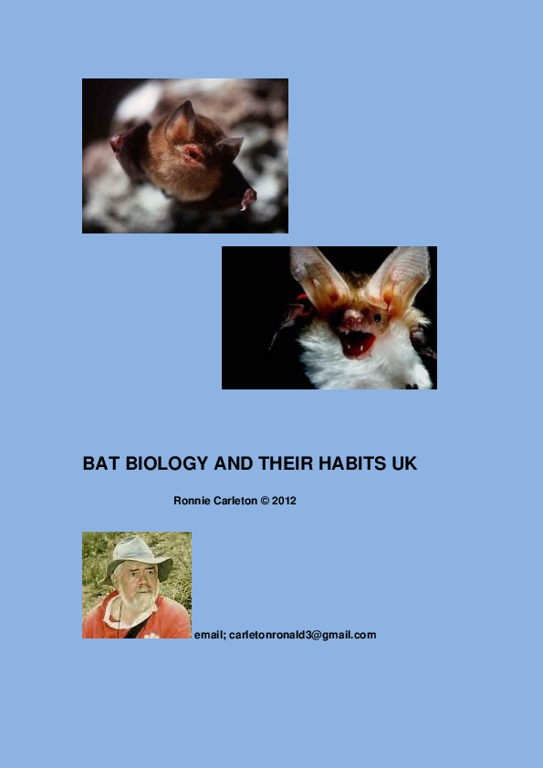 (PDF) BAT BIOLOGY AND THEIR HABITS UK