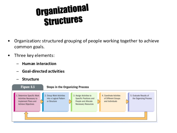 (PPT) Organizational Structures, Powerpoint