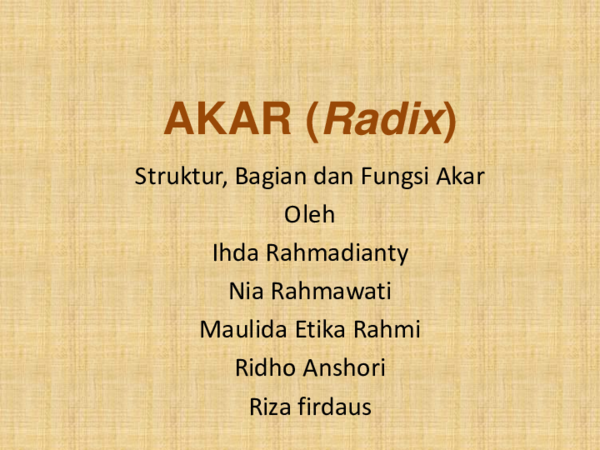 (PPT) Akar-radix