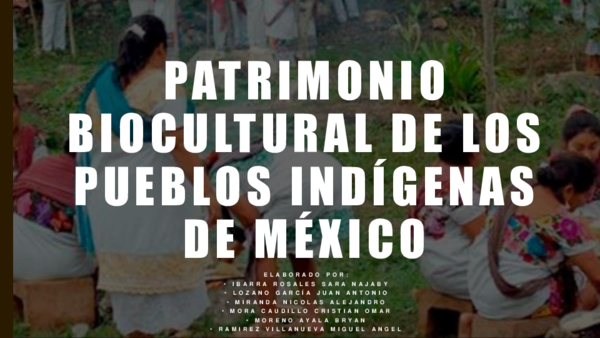 Ppt Patrimonio Biocultural De Los Pueblos Indígenas De México