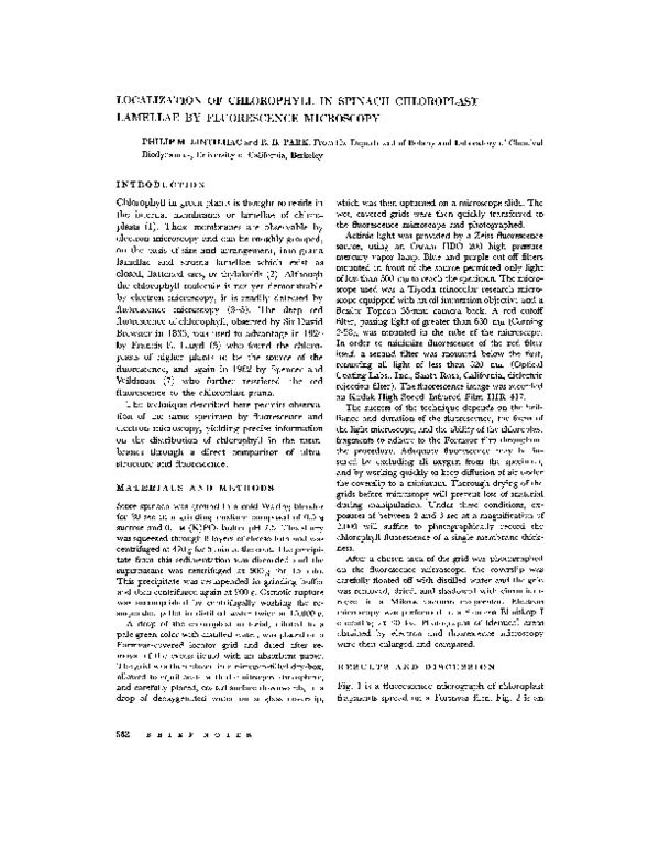 (PDF) Localization of chlorophyll in spinach chloroplast lamellae by ...