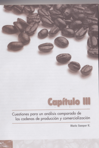 (PDF) Cuestiones para un analisis comparado de las cadenas de ...