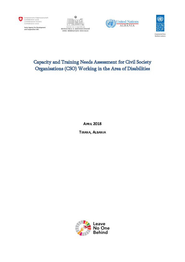 (PDF) Capacity and Training Needs Assessment for Civil Society ...
