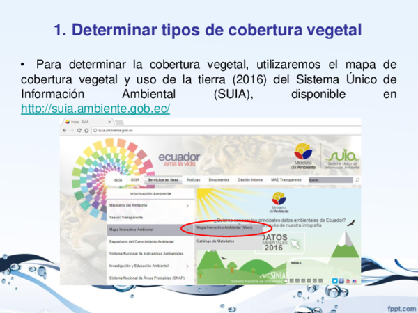 (PDF) Determinar tipos de cobertura vegetal