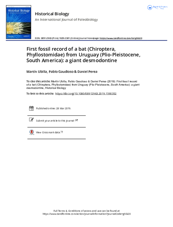 (PDF) First fossil record of a bat (Chiroptera, Phyllostomidae) from ...