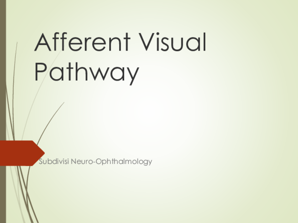 (PPT) Afferent Visual Pathway