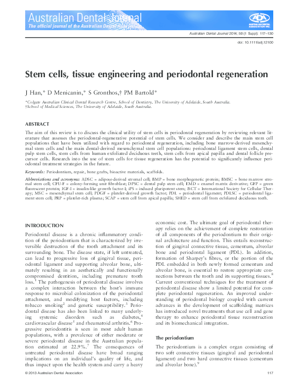 (PDF) Stem cells, tissue engineering and periodontal regeneration