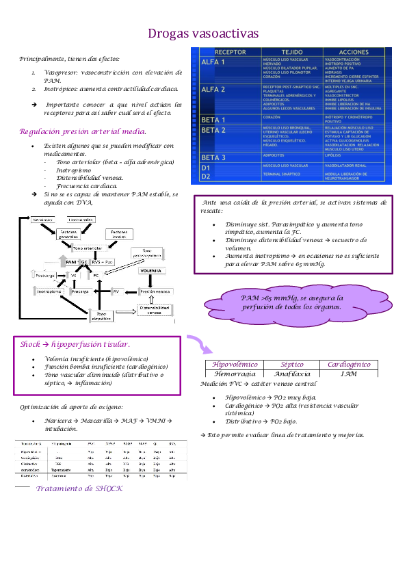 (PDF) Resumen drogas vasoactivas