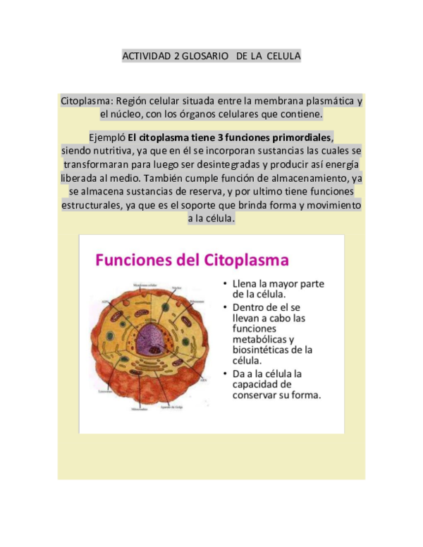 (DOC) ACTIVIDAD 2 GLOSARIO DE LA CELULA | Lisbeth Hernandez - Academia.edu