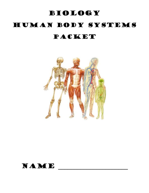(PDF) Human.body.systems.packet revised