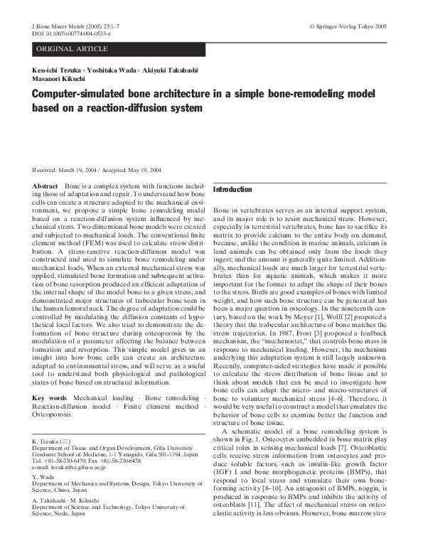 (PDF) Computer-simulated bone architecture in a simple bone-remodeling ...