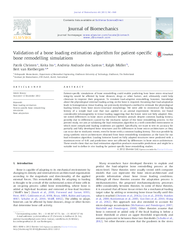 Pdf Validation Of A Bone Loading Estimation Algorithm