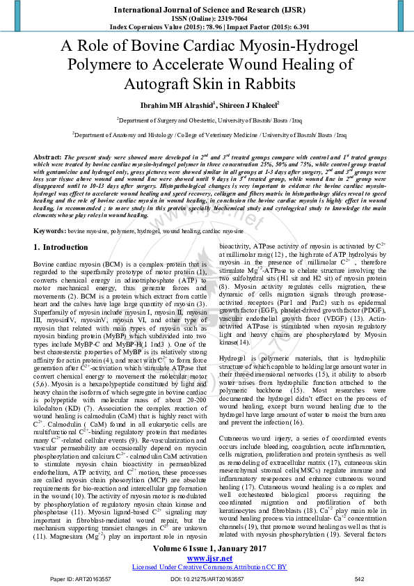 (PDF) A Role of Bovine Cardiac Myosin-Hydrogel Polymere to Accelerate ...