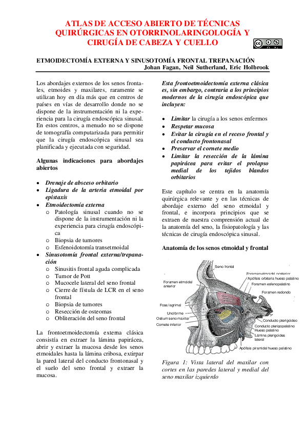 (PDF) ATLAS DE ACCESO ABIERTO DE TÉCNICAS QUIRÚRGICAS EN ...