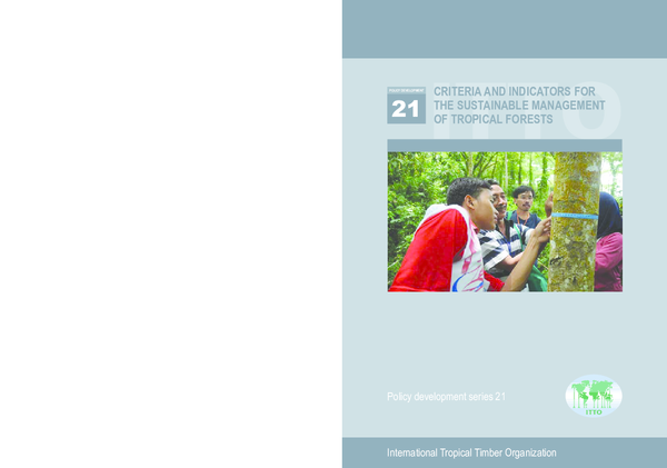 (PDF) ITTO International Tropical Timber Organization INTERNATIONAL ...