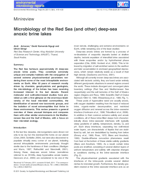 (PDF) Microbiology of the Red Sea (and other) deep‐sea anoxic brine lakes
