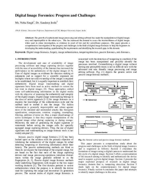 (PDF) Digital Image Forensics: Progress and Challenges