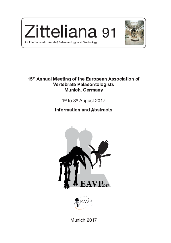 (PDF) The Late Jurassic Shark Palaeocarcharias (Elasmobranchii ...