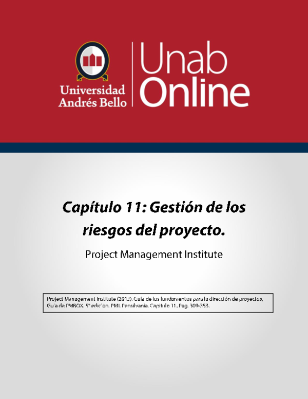 (PDF) GESTIÓN DE LOS RIESGOS DEL PROYECTO