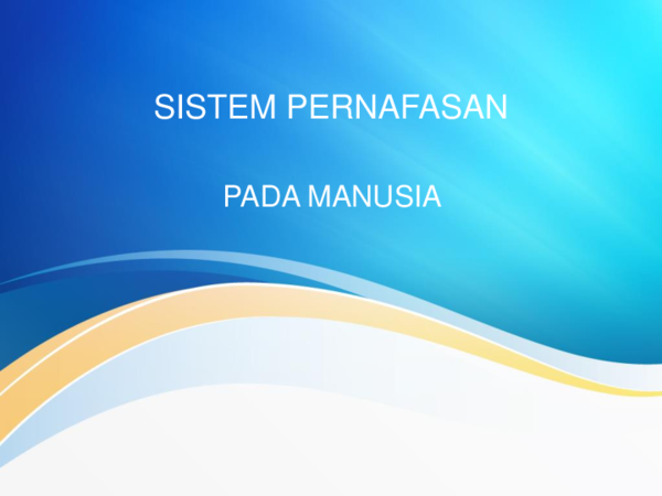 Ppt Organ Sistem Pernapasan Ppt 