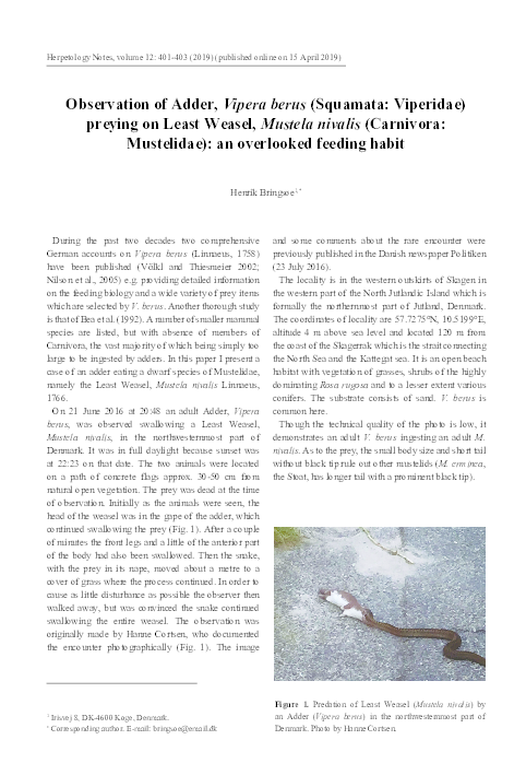 (PDF) Observation of Adder, Vipera berus (Squamata: Viperidae) preying ...